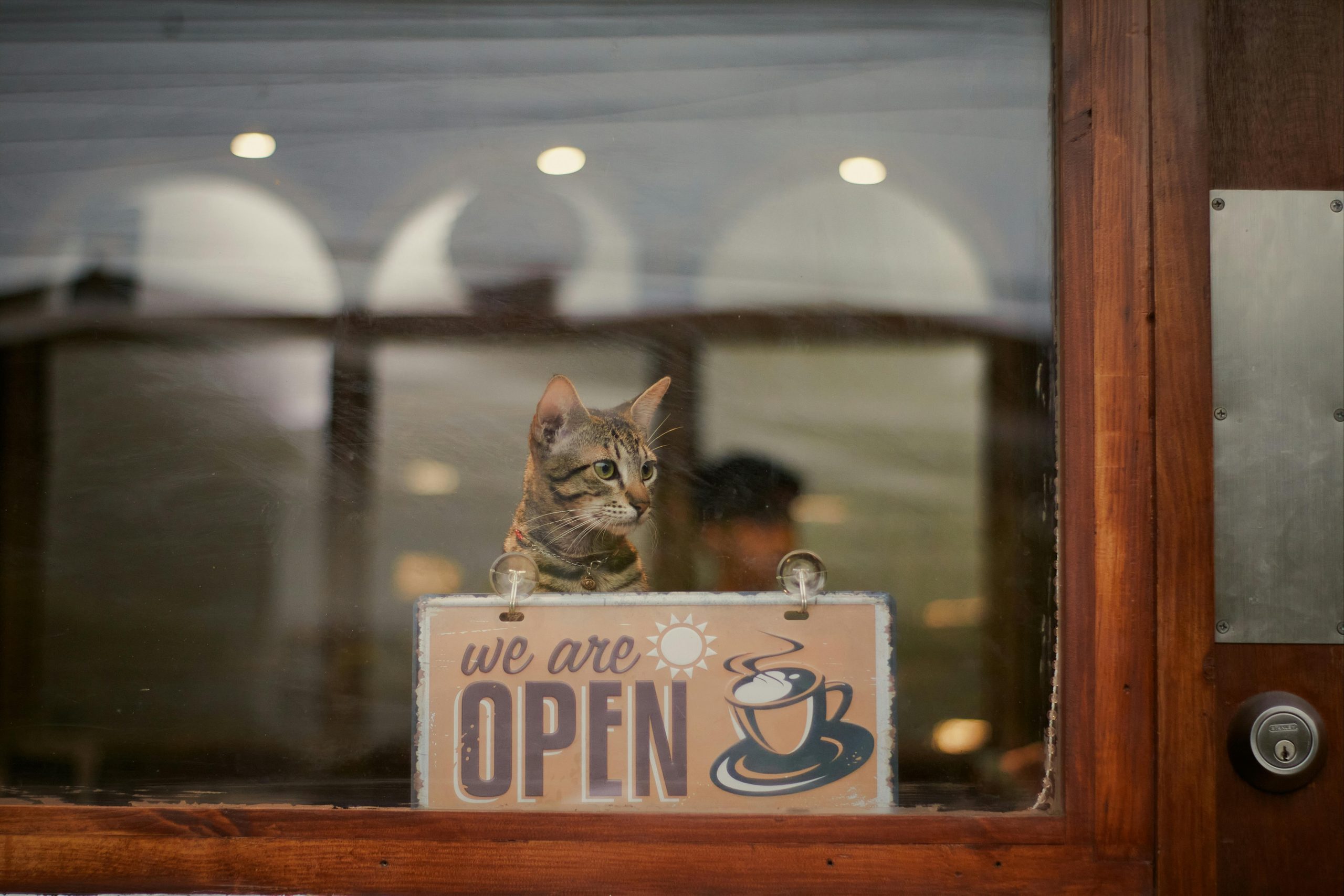 How to Setup a Limited Company: A Step-by-Step Guide